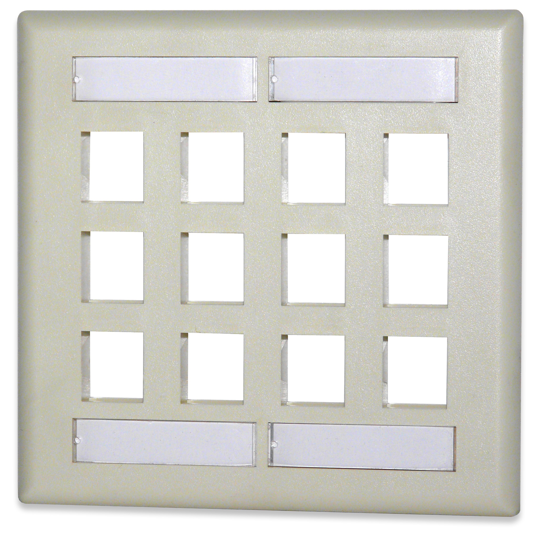 Signamax - 12-Port Double Gang Faceplate w/Labeling, Ivory - American ...